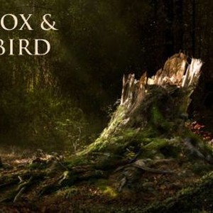 The Fox and the Bird - Rotten Tomatoes