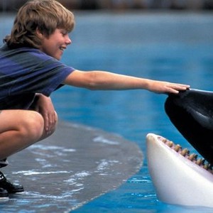 Free Willy - Rotten Tomatoes