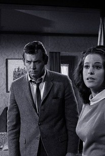 The Fugitive: Season 2, Episode 23 | Rotten Tomatoes