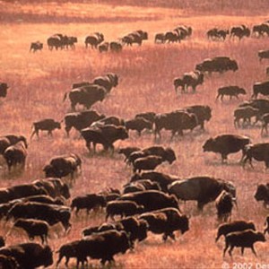 Lewis & Clark: Great Journey West - Rotten Tomatoes