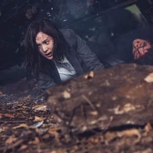 Mi Yang - Rotten Tomatoes