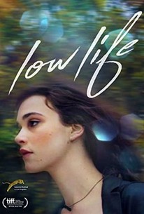 Low Life | Rotten Tomatoes