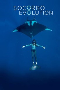 Socorro Evolution | Rotten Tomatoes