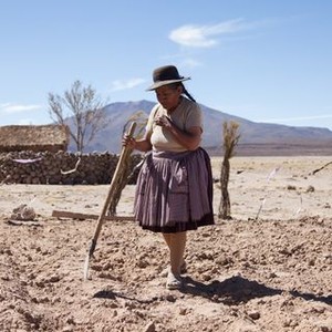 Utama - Rotten Tomatoes