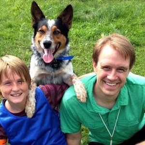 Pups United - Rotten Tomatoes