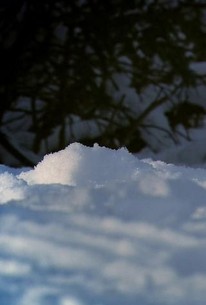 Ice Cold Killers: Season 1, Episode 5 | Rotten Tomatoes