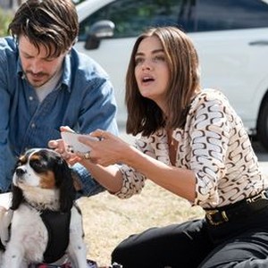 Puppy Love - Rotten Tomatoes