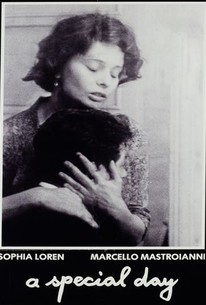 A Special Day | Rotten Tomatoes