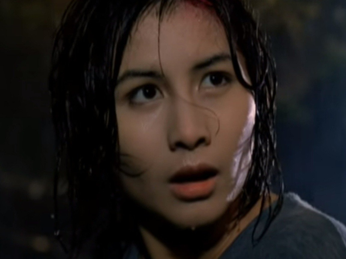 Kung Fu Hustle Heroine