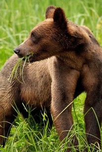 Growing Up Animal: Season 1, Episode 1 | Rotten Tomatoes