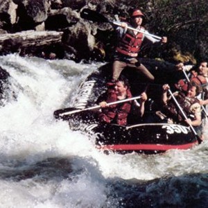 Dan Monahan - Rotten Tomatoes