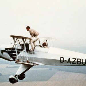 Animal - Rotten Tomatoes