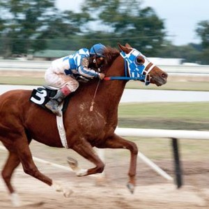 Secretariat - Rotten Tomatoes