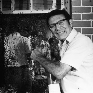 Irwin Allen - Rotten Tomatoes