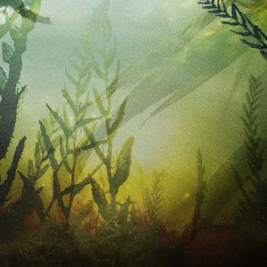 Something Bit Me! - Rotten Tomatoes