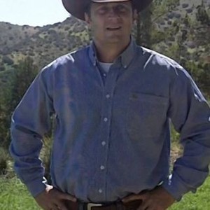 Split Estate - Rotten Tomatoes