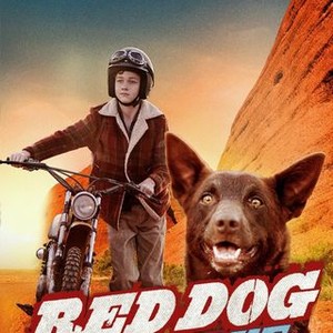 Red Dog: True Blue - Rotten Tomatoes