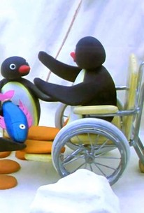 Pingu: Season 2, Episode 19 | Rotten Tomatoes