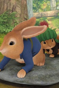Peter Rabbit: Season 3, Episode 19 | Rotten Tomatoes