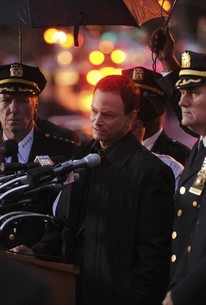 CSI: New York: Season 8, Episode 8 | Rotten Tomatoes