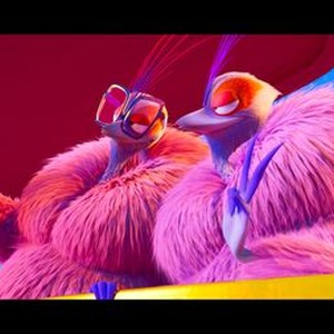 Rally Road Racers - Rotten Tomatoes