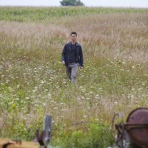 Bitten - Rotten Tomatoes