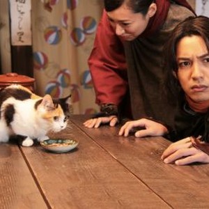 Neko Ninja - Rotten Tomatoes
