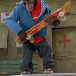 MVP2: Most Vertical Primate - Rotten Tomatoes