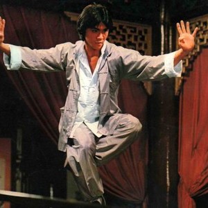 Kung Fu Zombie - Rotten Tomatoes