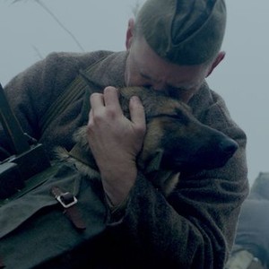 Red - Rotten Tomatoes