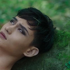 Adonis He - Rotten Tomatoes