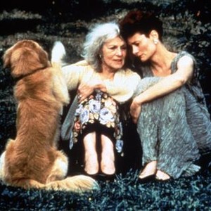 Diane Salinger - Rotten Tomatoes