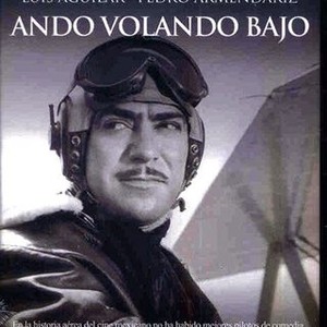 Ando volando bajo - Rotten Tomatoes