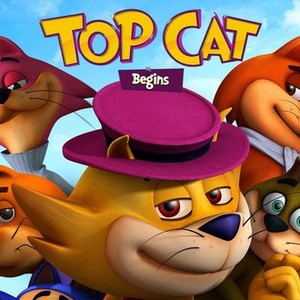 Top Cat Begins - Rotten Tomatoes