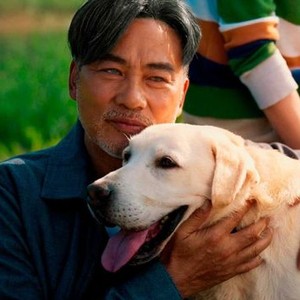 Little Q - Rotten Tomatoes