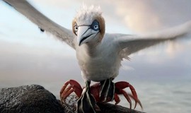 The Little Mermaid - Trailers & Videos | Rotten Tomatoes