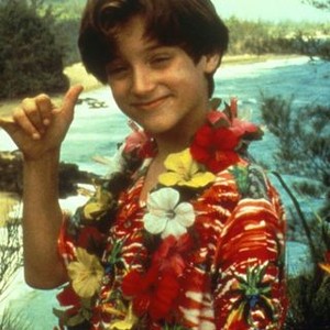 North - Rotten Tomatoes