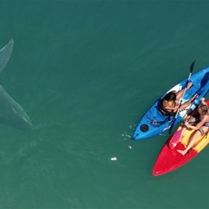 Shark Season - Rotten Tomatoes