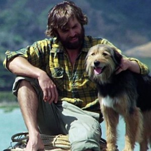 Sleeping Dogs - Rotten Tomatoes