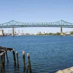 Mega Disasters - Rotten Tomatoes