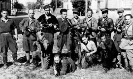 Four Winters: A Story of Jewish Partisan Resistance and Bravery in WWII - Rotten Tomatoes