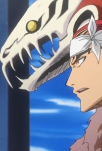 Bleach: Season 3, Episode 11 | Rotten Tomatoes