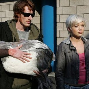 Primeval: Season 1, Episode 4 - Rotten Tomatoes