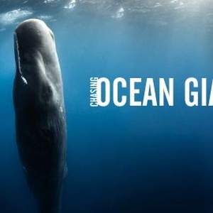 Chasing Ocean Giants - Rotten Tomatoes
