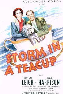 Storm in a Teacup | Rotten Tomatoes