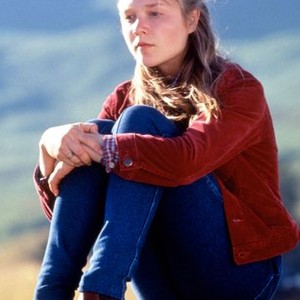 The Princess Stallion - Rotten Tomatoes