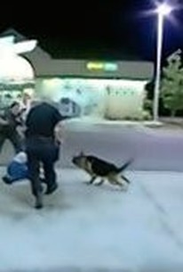 Cops: Season 16, Episode 31 - Rotten Tomatoes