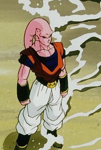 Dragon Ball Z: Season 9, Episode 271 | Rotten Tomatoes