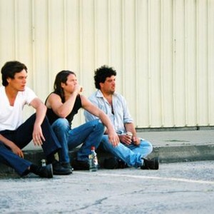 Michael Shannon - Rotten Tomatoes