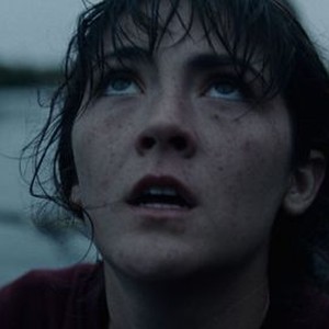 The Novice - Rotten Tomatoes